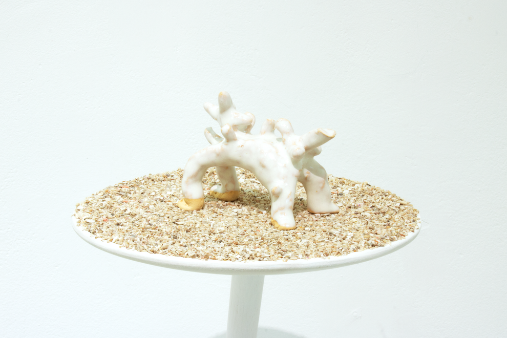 coral human – Nomart Store