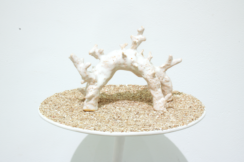 coral human – Nomart Store