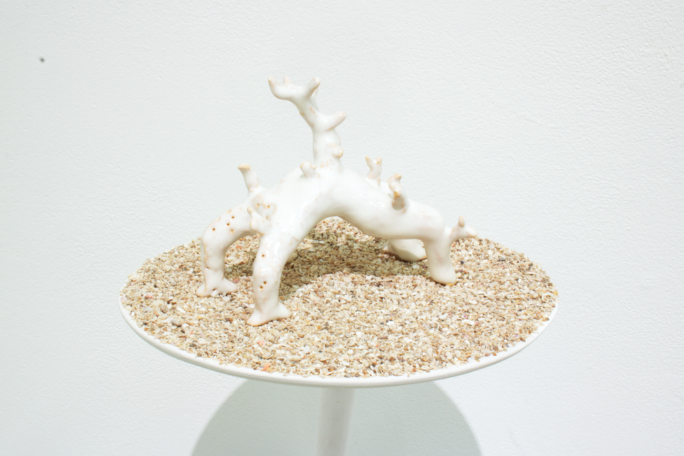 coral human – Nomart Store